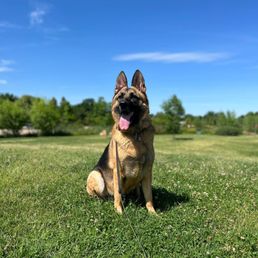 All Dogs Unleashed Reviews | Read Customer Service Reviews of ...