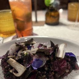 AVIZE MODERN ALPINE - Updated September 2025 - 225 Photos & 57 Reviews ...