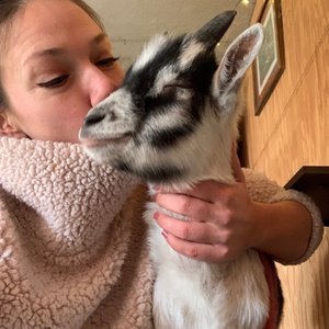 ROSE BRIDGE FARM & SANCTUARY - 143 Photos & 52 Reviews - 1314 N ...