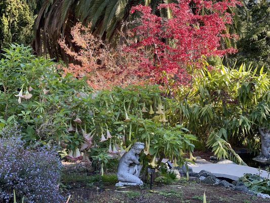 VILLA MONTALVO - 189 Photos & 24 Reviews - 15400 Piedmont Rd, Saratoga ...