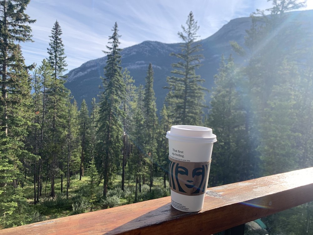 STARBUCKS - Updated December 2024 - 13 Photos - 100 Mountain Avenue ...