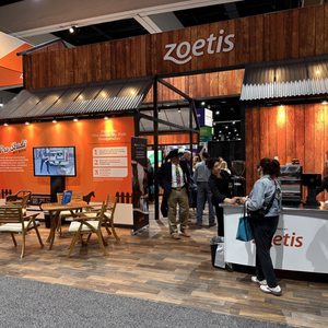 CAFE 222 - Updated August 2024 - 1741 Photos & 2374 Reviews - 222 ...