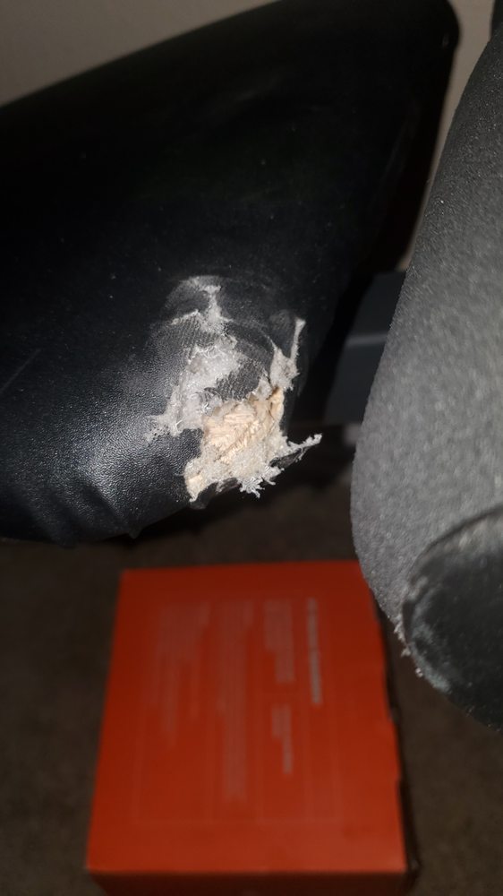 INBOX MOVING SERVICE - Updated August 2025 - 21 Photos & 35 Reviews ...