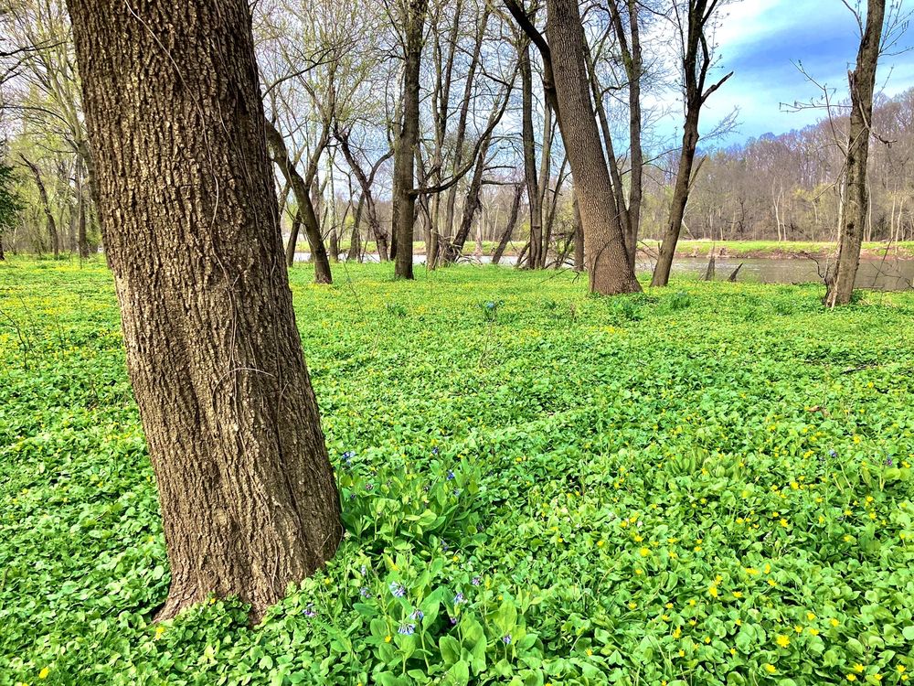 LOWER PERKIOMEN VALLEY PARK - 29 Photos - 101 New Mill Rd, Oaks, PA - Yelp