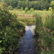 CUSHING MEMORIAL PARK - 21 Photos - Hiking - 600 N Cushing Park Rd ...