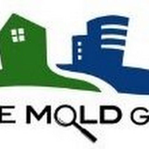 THE MOLD GUY - Updated June 2025 - 26 Photos & 66 Reviews - Marina Del ...