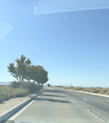 MUSICAL ROAD - Updated January 2026 - 55 Photos & 141 Reviews - 3315 W ...