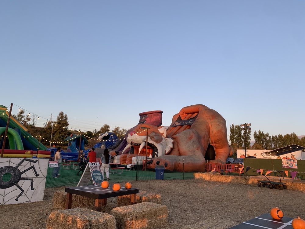 PUMPKIN & POLAR PALOOZA - Updated December 2025 - 152 Photos & 193 ...