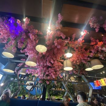 LAZY FISH - Updated June 2025 - 475 Photos & 506 Reviews - 10 E Patrick ...