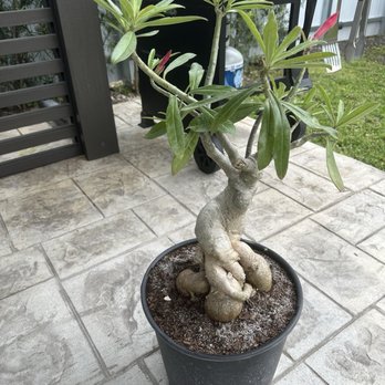 ISAAC FARMS - Updated March 2025 - 455 Photos & 112 Reviews - 18800 SW ...