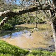 SHELL RIDGE OPEN SPACE - 305 Photos & 56 Reviews - 1035 Castle Rock Rd ...