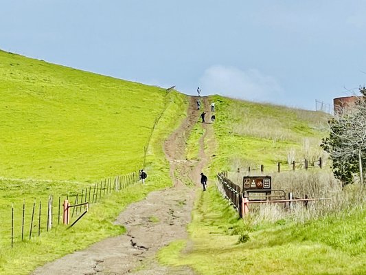 SANDY WOOL LAKE - Updated December 2025 - 121 Photos & 21 Reviews ...