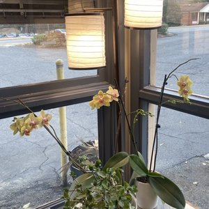 ANIMAL MEDICAL HOSPITAL & URGENT CARE - Updated June 2025 - 75 Photos ...