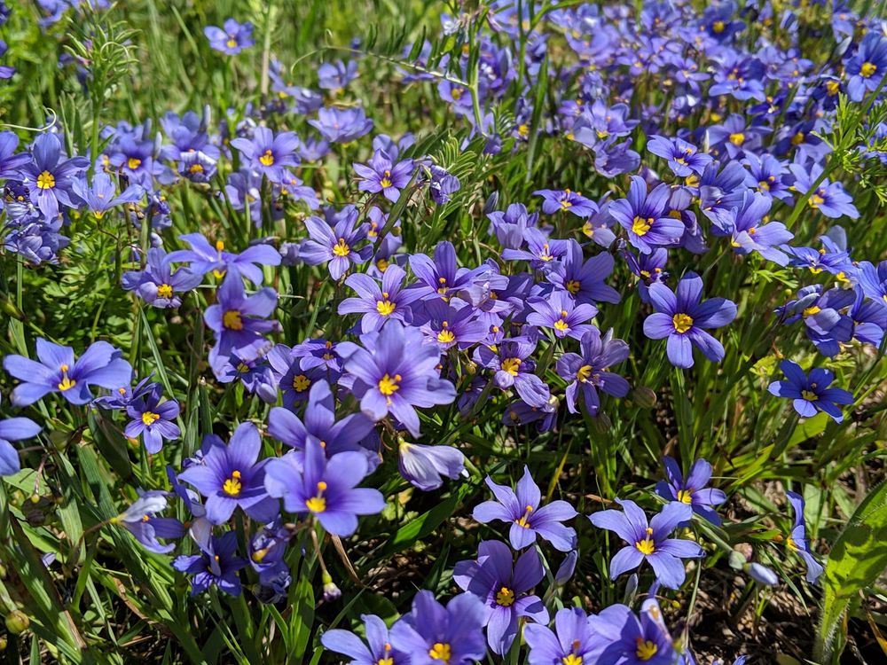 FOUNDERS PLAZA OBSERVATION AREA - 104 Photos & 49 Reviews - Parks ...