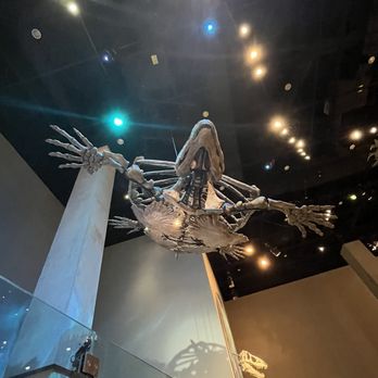 PEROT MUSEUM OF NATURE AND SCIENCE - Updated September 2024 - 2339 ...