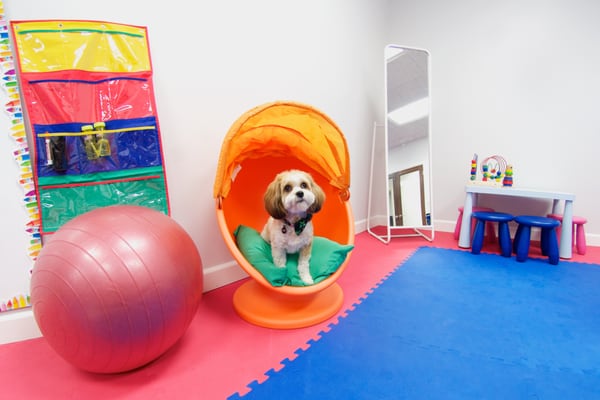 THE OAS CENTER & SPECIALIZED THERAPY SERVICES - Updated October 2025 ...