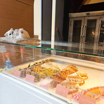 LITTLE PEBBLES - Updated May 2025 - 810 Photos & 235 Reviews - 160 ...