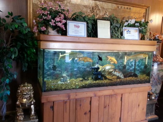 GOLDEN BUDDHA - HOWE - 33 Photos & 18 Reviews - 10 W 815th N, Howe ...