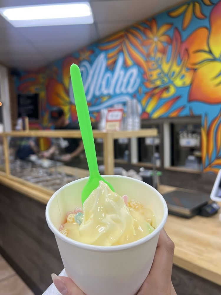 ALOHA YOGURT - Updated December 2025 - 324 Photos & 499 Reviews - 219 E ...