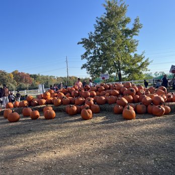 LONG FAMILY ORCHARD & FARM - Updated December 2025 - 137 Photos & 131 ...