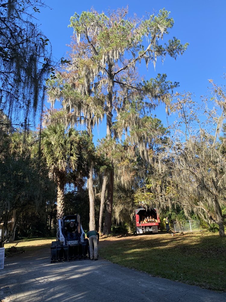THE WOOD DOCTOR TREE SERVICE - Updated October 2025 - Gainesville ...
