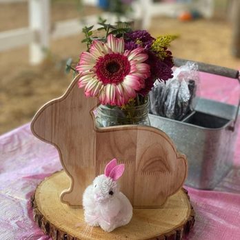 THE DINGLE FAMILY FARM AND STABLES - Updated November 2025 - 555 Photos ...