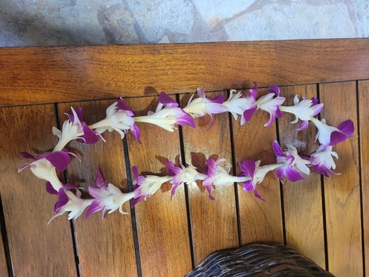 ALOHA VIP TOURS - Updated July 2025 - 17 Photos & 238 Reviews - 1601 ...