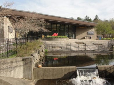 CHAPPAQUA LIBRARY - Updated May 2026 - 195 S Greeley Ave, Chappaqua ...