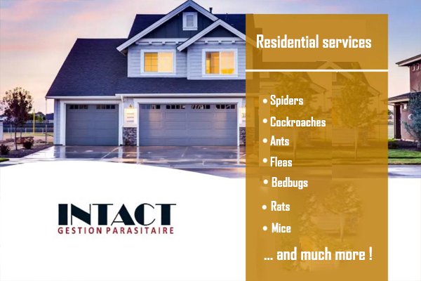 INTACT GESTION PARASITAIRE - Updated December 2024 - Montréal, Quebec ...