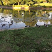 DOLING PARK AND FAMILY CENTER - 17 Photos - 301 E Talmage St ...