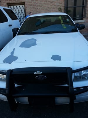 CHICAGO MOTORS - Updated April 2025 - 26 Photos & 43 Reviews - 2553 W ...