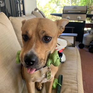 HOT JAVA - 255 Photos & 580 Reviews - 2101 E Broadway, Long Beach ...