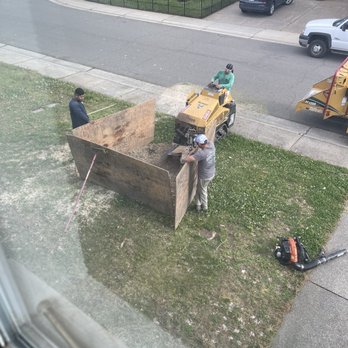 H G TREE SERVICE - Updated October 2025 - 136 Photos & 51 Reviews ...