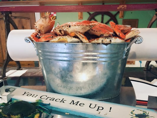 CHESTER RIVER SEAFOOD - Updated January 2026 - 20 Reviews - 4954 Ashley ...