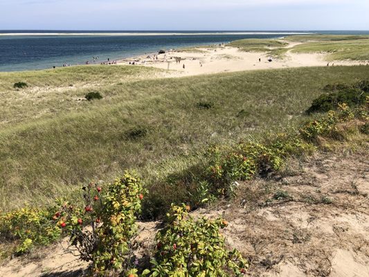 CHATHAM LIGHTHOUSE BEACH - Updated August 2024 - 118 Photos & 32 ...
