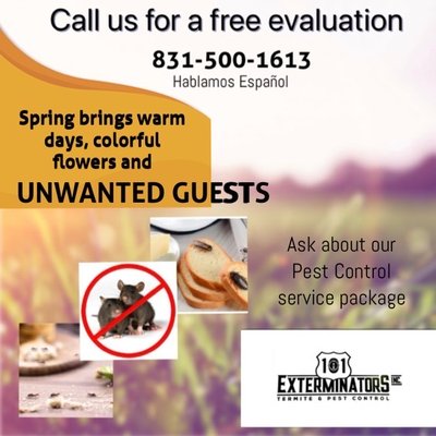 101 EXTERMINATORS - Updated October 2025 - 13 Reviews - 1628 N Main St ...