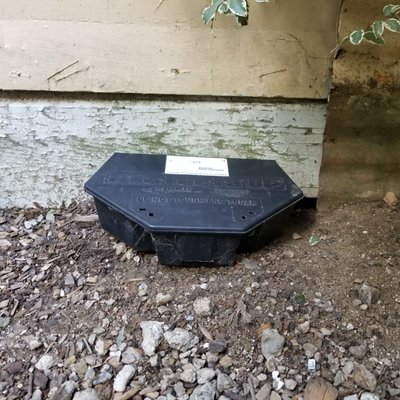 MARINA PEST CONTROL - Updated December 2025 - 22 Photos & 109 Reviews ...