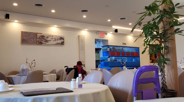 DONG YUE SEAFOOD RESTAURANT - 54 Photos & 11 Reviews - 136-14 38th Ave ...