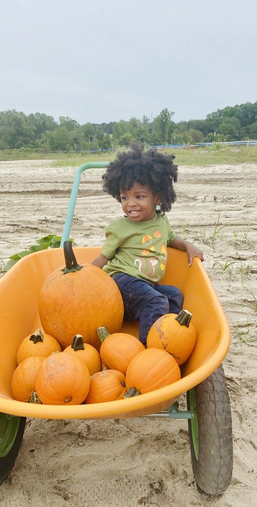 CLINTON SEASE FARMS - Updated October 2024 - 38 Photos & 23 Reviews ...