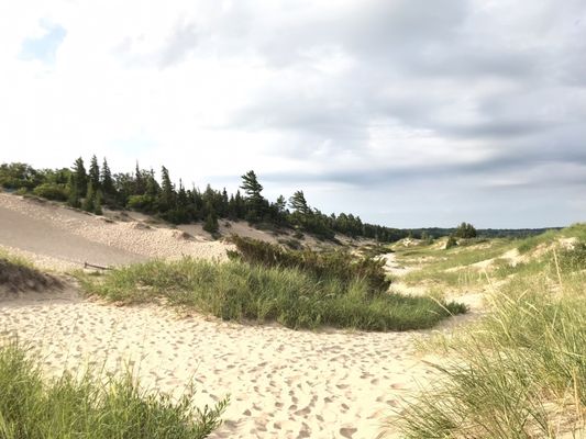 PETOSKEY STATE PARK - 67 Photos & 42 Reviews - 2475 M 119, Petoskey ...