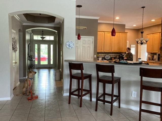 ALL AMERICAN DOG TRAINING ACADEMY - Updated December 2025 - 44 Photos ...