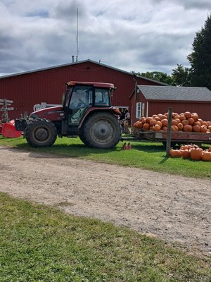 ABBOTT FARMS - Updated August 2025 - 55 Photos & 52 Reviews - 3275 Cold ...
