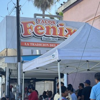 TACOS FÉNIX - Updated September 2024 - 245 Photos & 233 Reviews - Espinoza 451, Ensenada, Baja ...