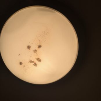 REDPOINT COLUMBIA - Updated January 2026 - 108 Photos & 130 Reviews ...