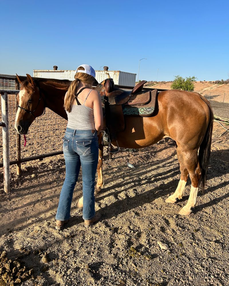 AZ RODEO READY - Updated December 2025 - 3035 Acacia Cir, Mesa, Arizona ...