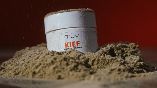 MUV DISPENSARY - SPRING HILL - Updated December 2025 - 90 Photos & 14 ...