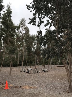 UC SAN DIEGO CHALLENGE COURSE - Updated December 2025 - 13 Photos ...