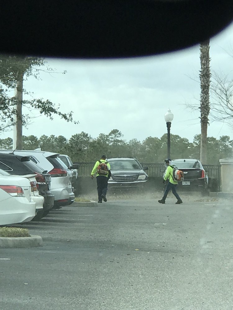 REW LANDSCAPE - Updated February 2025 - 1469 N New York Ave, Sanford ...