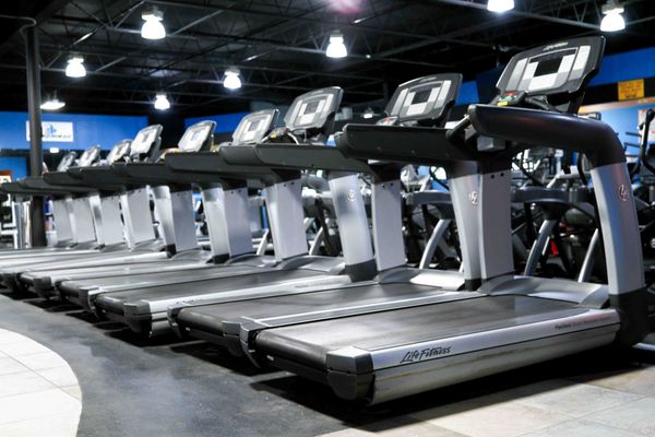 HAMMERHEAD GYM - Updated January 2026 - 21 Photos - 1013 Cape Coral ...