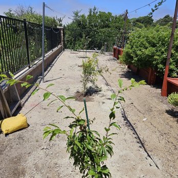 CLAUSEN NURSERY - Updated December 2025 - 112 Photos & 102 Reviews ...